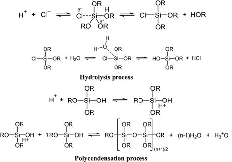 Tetraethyl Orthosilicate Hydrolysis Polycondensation Process Download Scientific Diagram