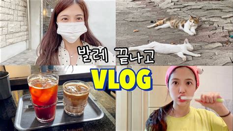 발레끝나고 주말일상 브이로그 길고양이 심쿵 합정나들이 쇼핑하고 밥먹고 백수 브이로그 일상 Vlog 길고양이 브이로그 Youtube