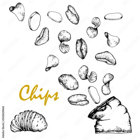 Chips Black And White Sketch Hand Drawn Vector Isolated On White Background Bag Of Chips Of