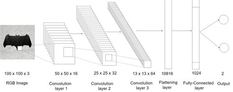 How I Built A Convolutional Image Classifier Using Tensorflow From Scratch