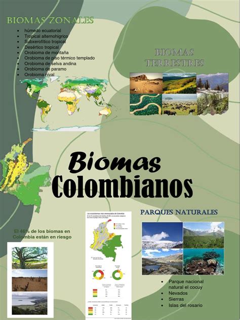 Afiche De Los Biomas De Colombia Pdf