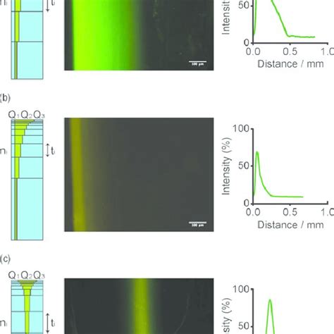 Generation Of Three Types Of Model Gradients By Hydrodynamic Flow