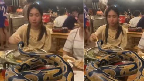 Girl Eating Food With Python Video Goes Viral What Is The Truth Viral