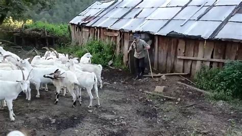 შენი ხმა ჩვენი მომავალია გუნდი მასქური Youtube