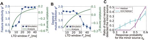 correlation propagation shapes lateral connection structure a