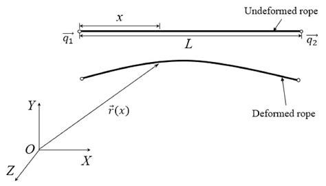 Applied Sciences Free Full Text Application Of Absolute Nodal Coordinate Formulation In