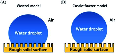 Illustrative Two Basic Wetting Models A Wenzel Model B Download Scientific Diagram
