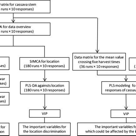 Flow Chart Of The Modelling Download Scientific Diagram