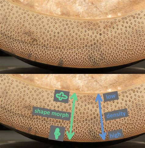 Geometry Nodes User Feedback Developer Forum