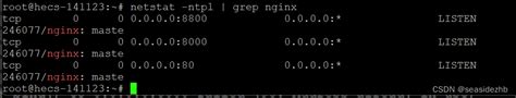 linux学习之nginx虚拟域名主机，lsof和netstat命令查看端口是否被监听 查看nginx监听的端口 csdn博客