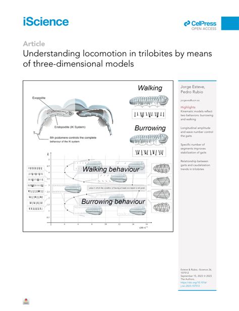 Pdf Understanding Locomotion In Trilobites By Means Of Three Dimensional Models
