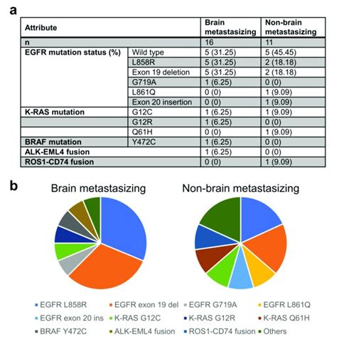 Presence Of Common Lung Adenocarcinoma Driver Mutations And Gene
