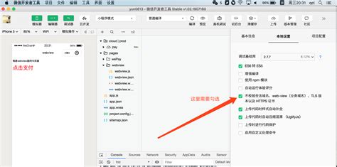 小程序webview内网页实现微信支付webview 拉取小程序支付 Csdn博客