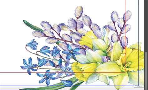 Image Bleed Not Working Adobe Community 13148514