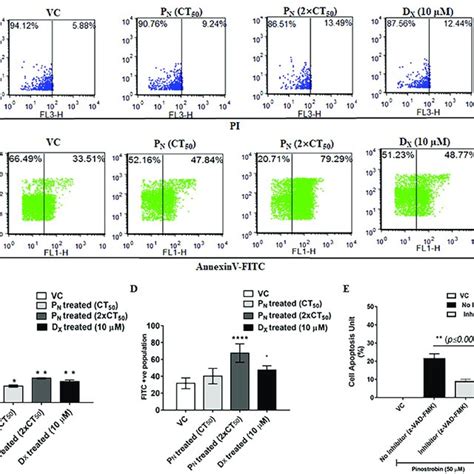 P N Elevates Apoptosis And Dna Damage A Representative Dot Plot Of