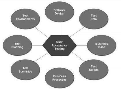 User Acceptance Testing UAT Guides Concepts TestingBrain