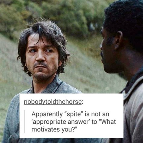 Pin On Star Wars Memes
