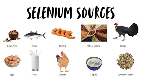 Health Benefits Of Selenium Supplements In Nepal Vitamin Nepal