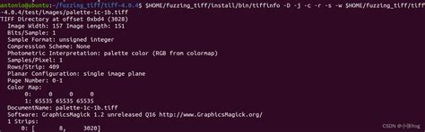 fuzzing101：exercise 4 libtiff 翻译 解题 csdn博客