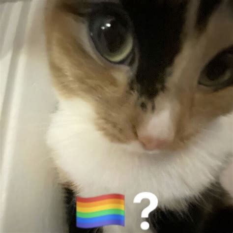 Pin On Reactions Images