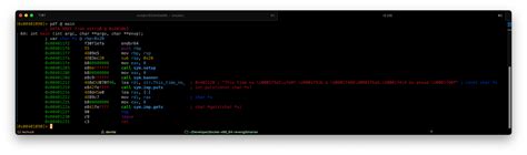 Binary Exploitation Pwn101 Write Up Random Tech Stuff