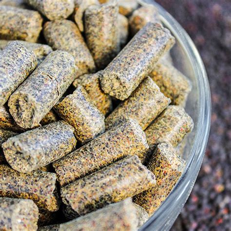 Шрот рапсовый купить - Новоалтайский Маслоэкстракционный Завод