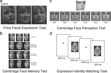 Summary Of Tasks Used A Films Facial Expression Task This Task