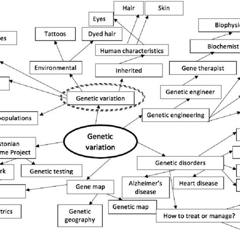 Illustrative Sample Of 4th Level Babe Created Mind Map Download Scientific Diagram