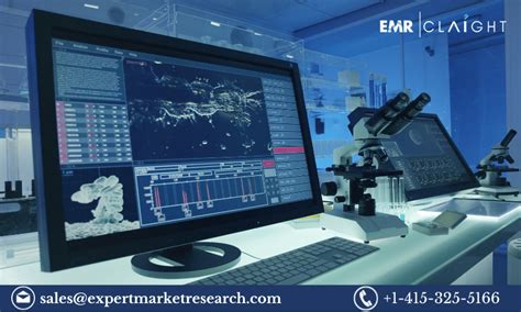 Computational Biology Market Size Share Trends 2024 2032