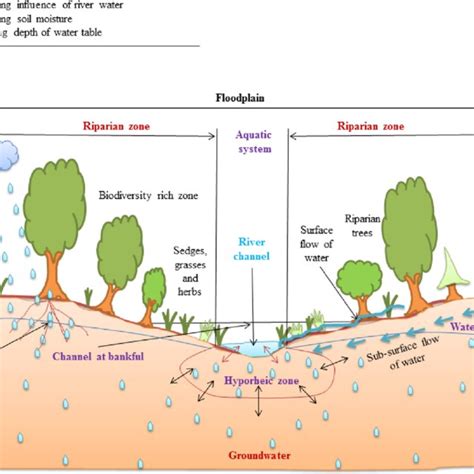 Pdf Managing Riparian Zones For River Health Improvement An Integrated Approach