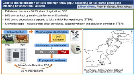 Pdf Genetic Characterisation Of Ticks And High Throughput Screening Of Tick Borne Pathogens