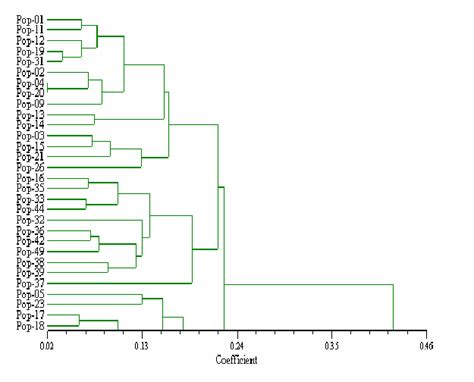 Dendrogram Showing Cluster Analysis Of Maize Populations From Upper