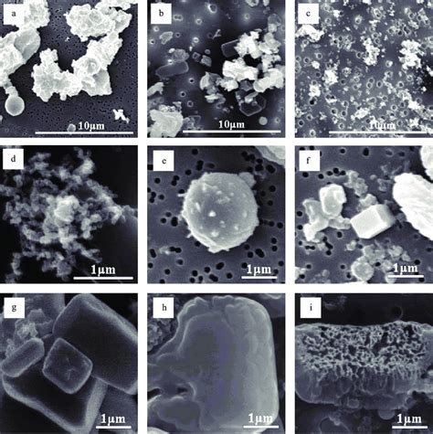 Sem Micrographs Of Size Segregated Particles A Coarse Particles B Download Scientific