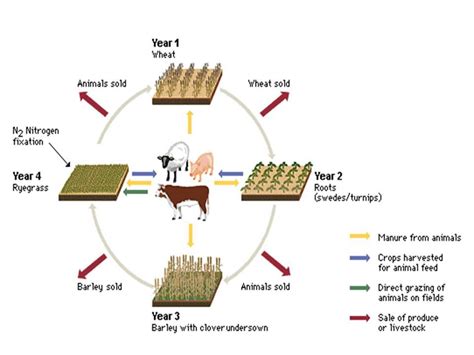 Sustainable Agriculture Reduced Inputs The Farming Forum