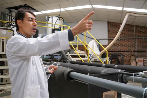 How To Pipeline Straw For Biofuels News Future Energy Systems How To Pipeline Straw For Biofuels News Future Energy Systems