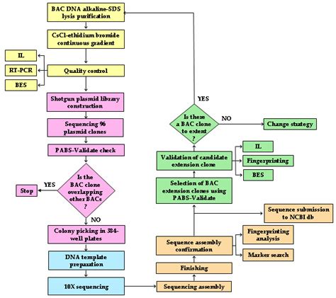2 1 Schematic Overview Of The Sequencing Pipeline That We Had Download Scientific Diagram