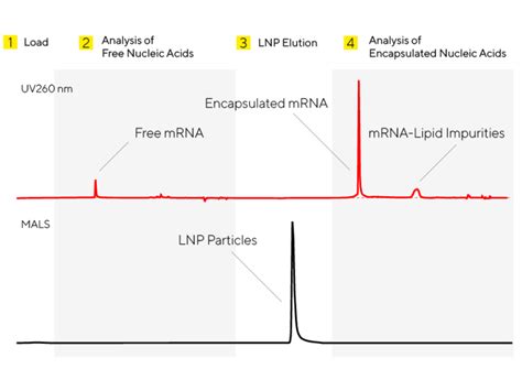 Lnp Sartorius Bia Separations