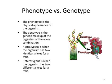 Genotype Vs Phenotype Venn Diagram
