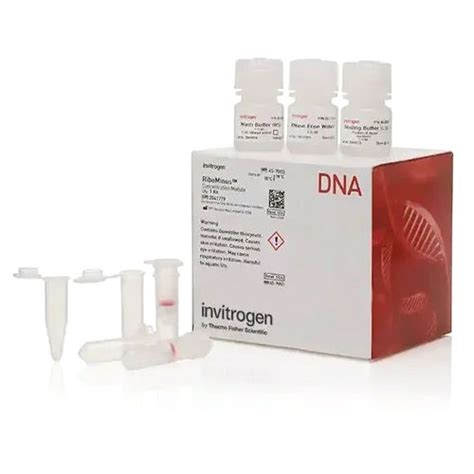 Medical Dna Extraction Kit At 28000 00 Inr In New Delhi Progenbiolab Technologies Pvt Ltd
