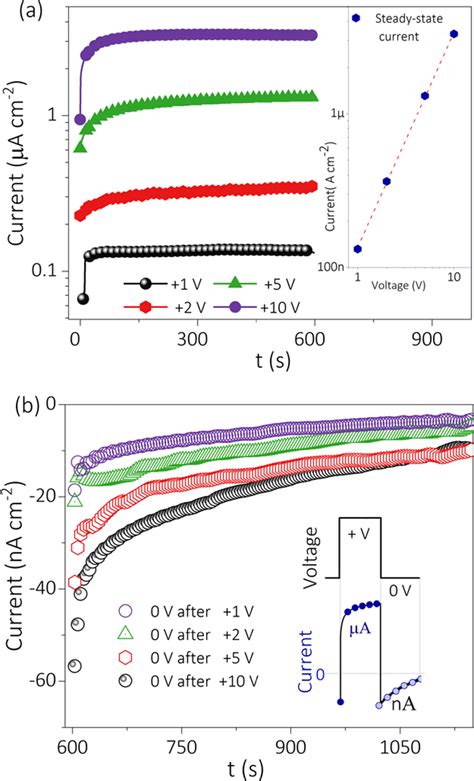 A Short Time Current Transients Registered At Different Positive