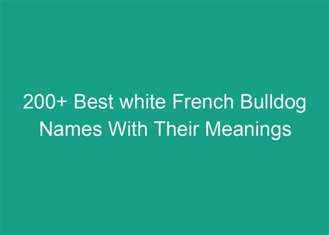 French Bulldog Size Guide Everything You Need To Know