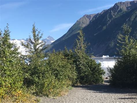 Best Hikes And Trails In Chilkat State Park Alltrails