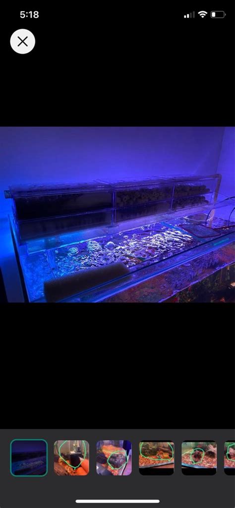 Overhead Filter Pet Supplies Homes And Other Pet Accessories On Carousell