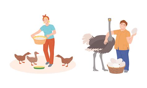 농장에서 다양한 일을하는 농부들 가금류 새에게 먹이를주는 농업 노동자 만화 벡터 일러스트 레이 션 계절에 대한 스톡 벡터 아트 및 기타 이미지 Istock
