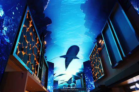 영종도 가볼만한곳 인스파이어 리조트 오로라 고래 공연 정보 네이버 블로그