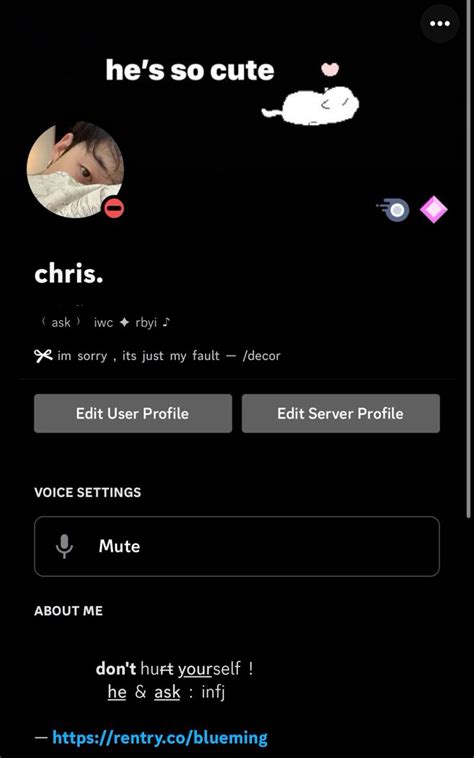 Discord Layout Discord Layout User Profile