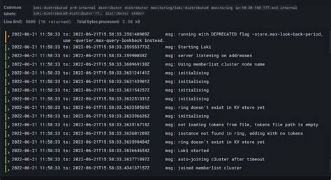 Loki Incorrect Server Block Configuration Does Not Result In Application Failure Issue