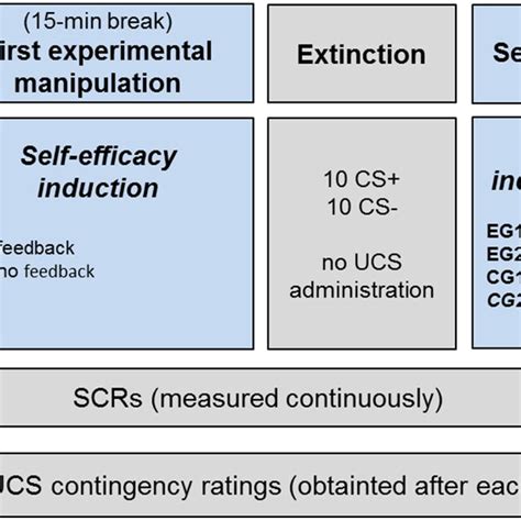 Experimental Design The Fear Conditioning Procedure Consisted Of A Download Scientific Diagram