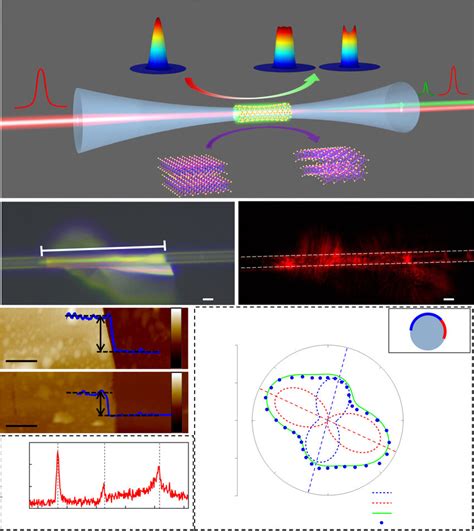 Schematic Diagram Of A Microfiber And Surface Morphologies Of The