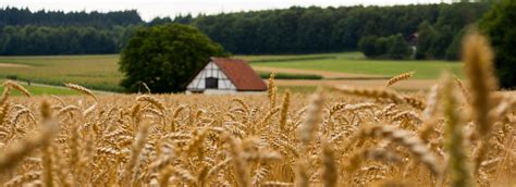 Ismounted Tricks Are Code Smell